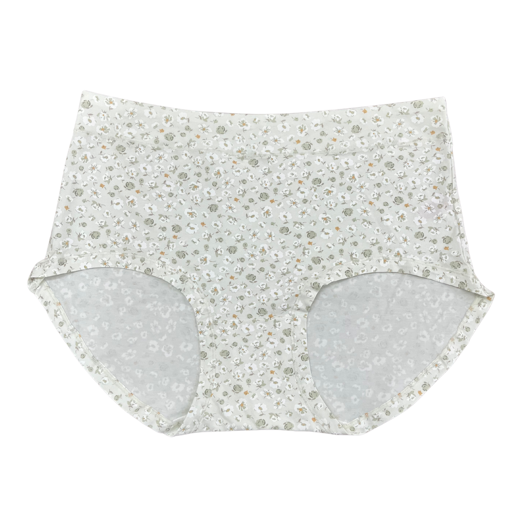 Lady Grace Intimates Plus size High-waist Full Panty 60024